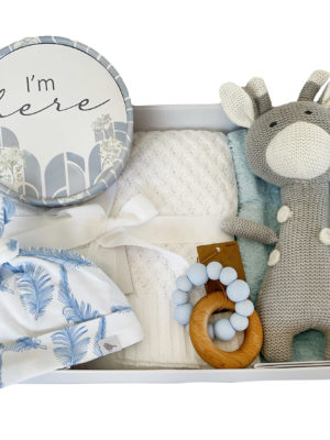 Perth Nappy Cakes and Baby Gifts